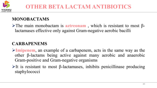 Beta lactam antibiotics | PPTX
