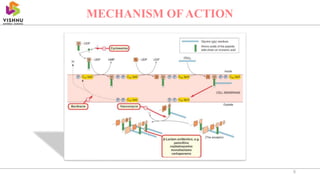 Beta lactam antibiotics | PPTX