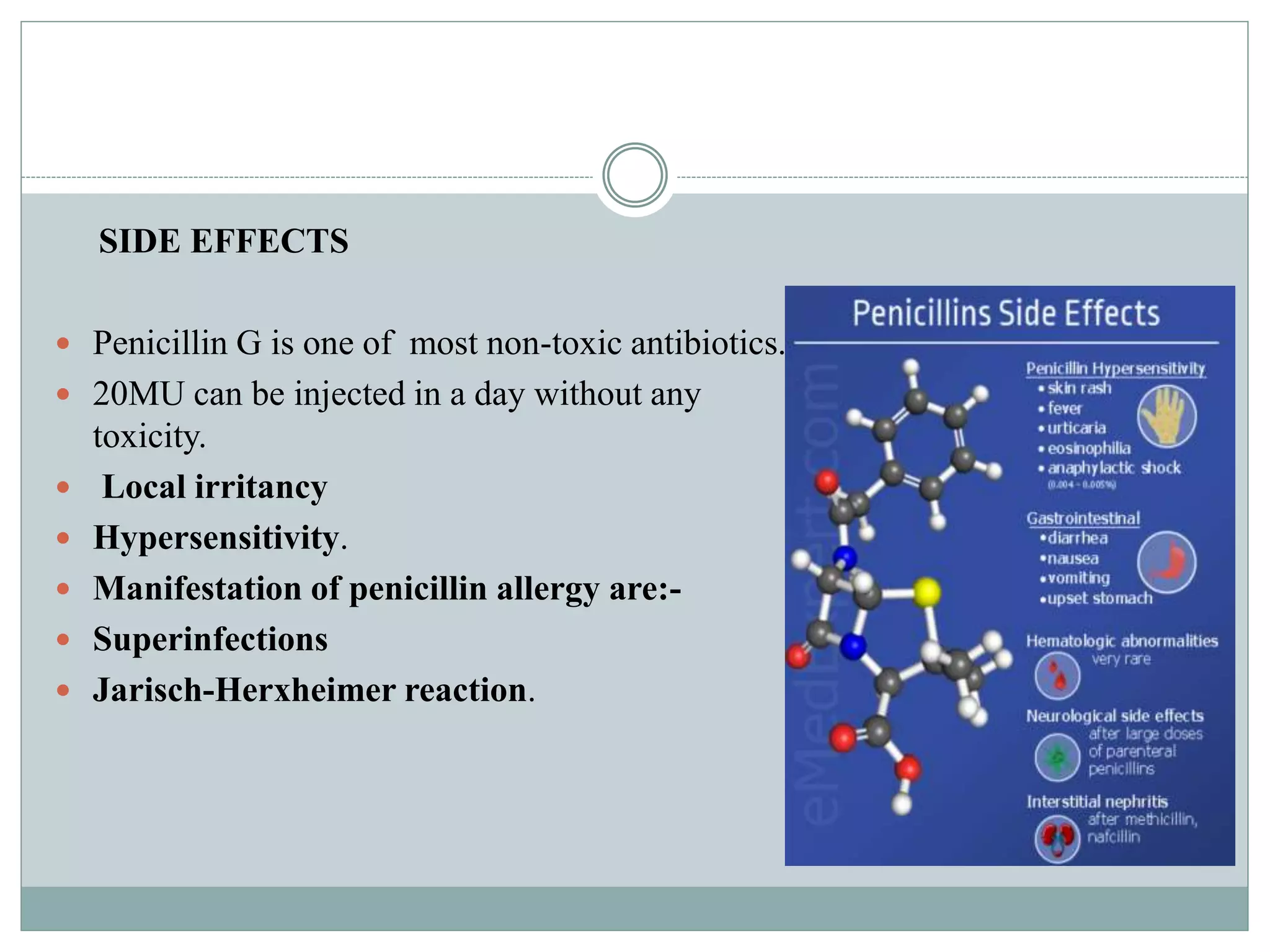 Pharmacology of Beta lactam antibiotics | PPTX