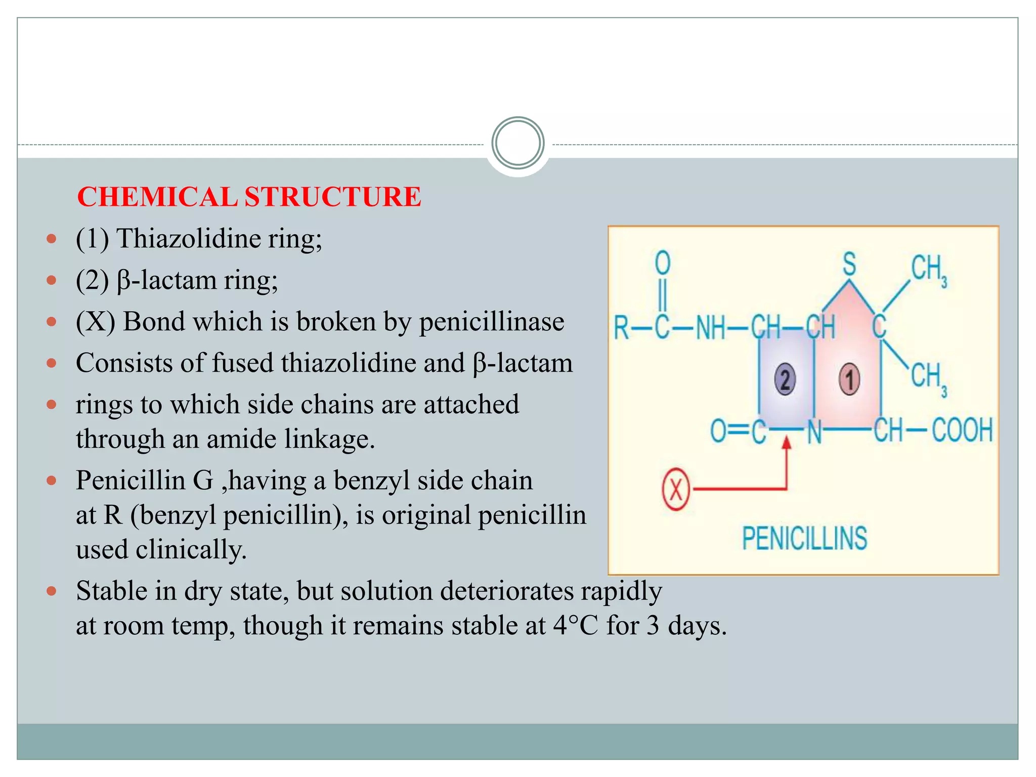 Pharmacology of Beta lactam antibiotics | PPTX