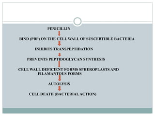 Pharmacology of Beta lactam antibiotics | PPTX