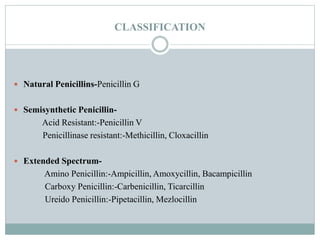 Pharmacology of Beta lactam antibiotics | PPTX