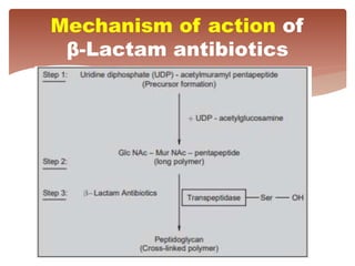 Beta lactam antibiotics, PCI syllabus for B.Pharm. | PPT
