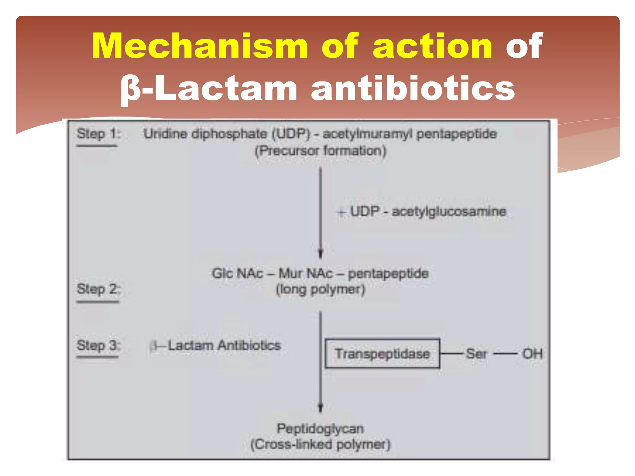 Antibiotics - Beta lactam antibiotics, PCI syllabus for B.Pharm. | PPTX
