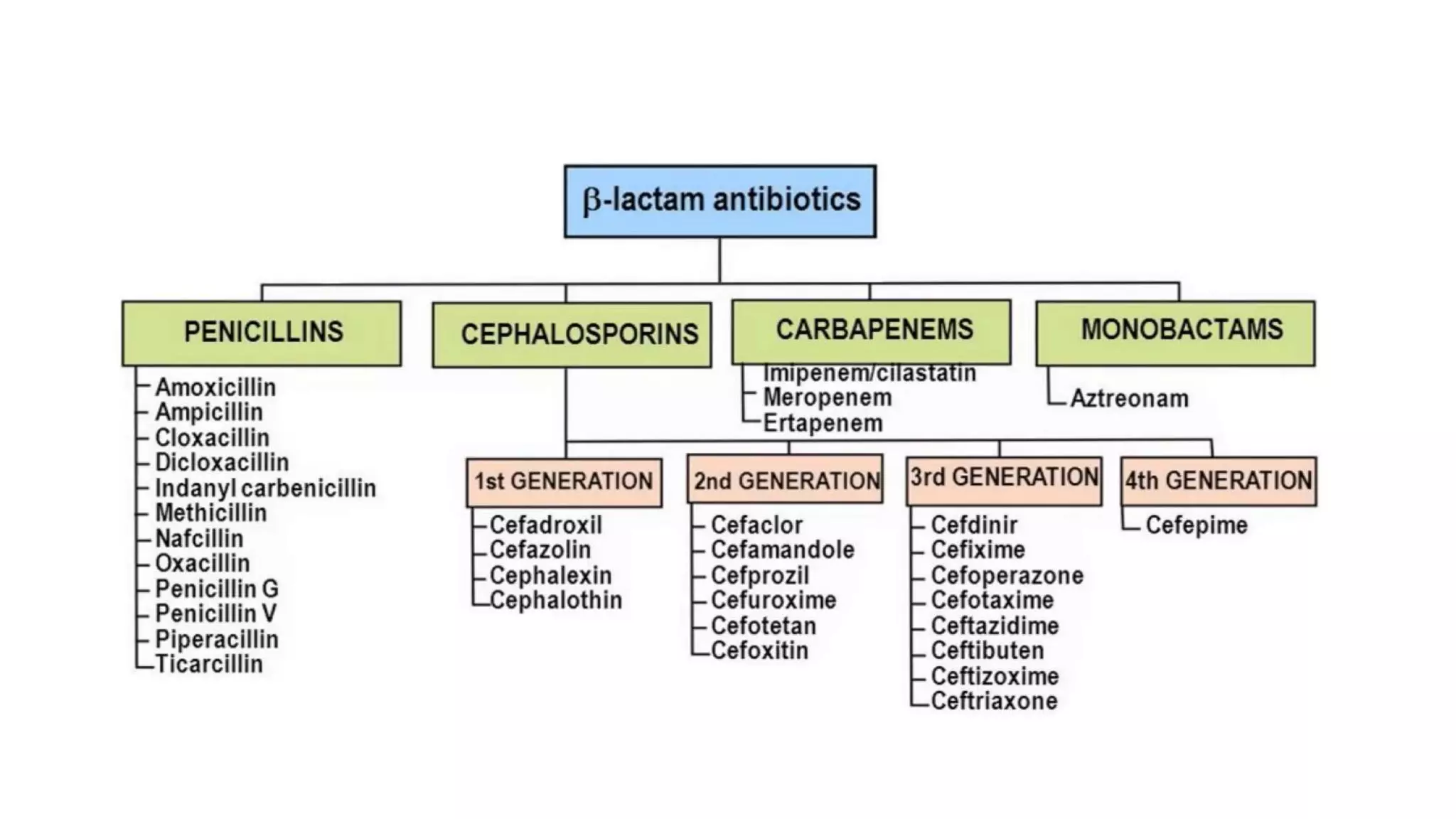 Beta lactam antibiotics | PPTX
