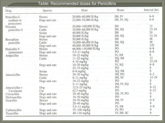 ANTIBIOTICS presentation for veterinary pharmacology | PPT ...