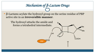 Beta-Lactam Antibiotics Essentials Notes | PPSX
