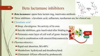 Beta lactam antibiotics (penicillins and cephalosporins) | PPTX