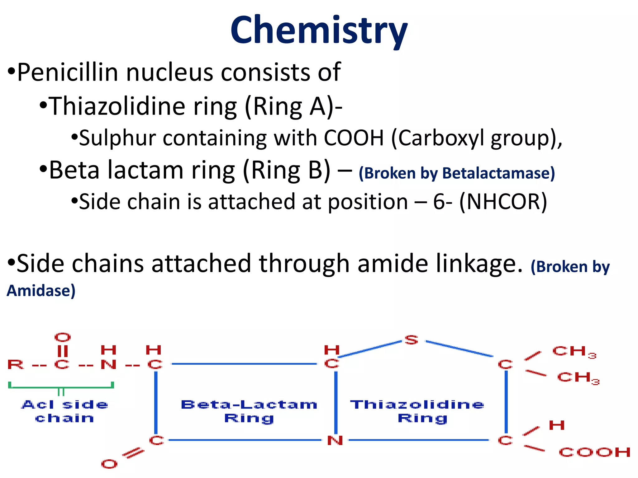 Beta_Lactam_Antibiotics1.ppt