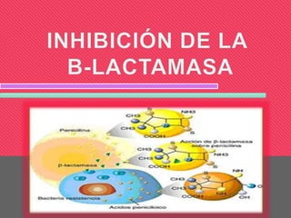 Betalactamasa / Farmacologia | PPTX