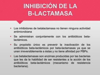 Betalactamasa / Farmacologia | PPTX