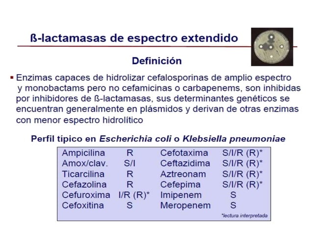BETALACTAMASAS.ppt