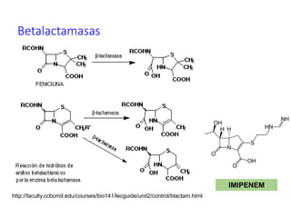 BETALACTAMASAS.ppt