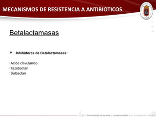 Betalactamasas expo... | PPT