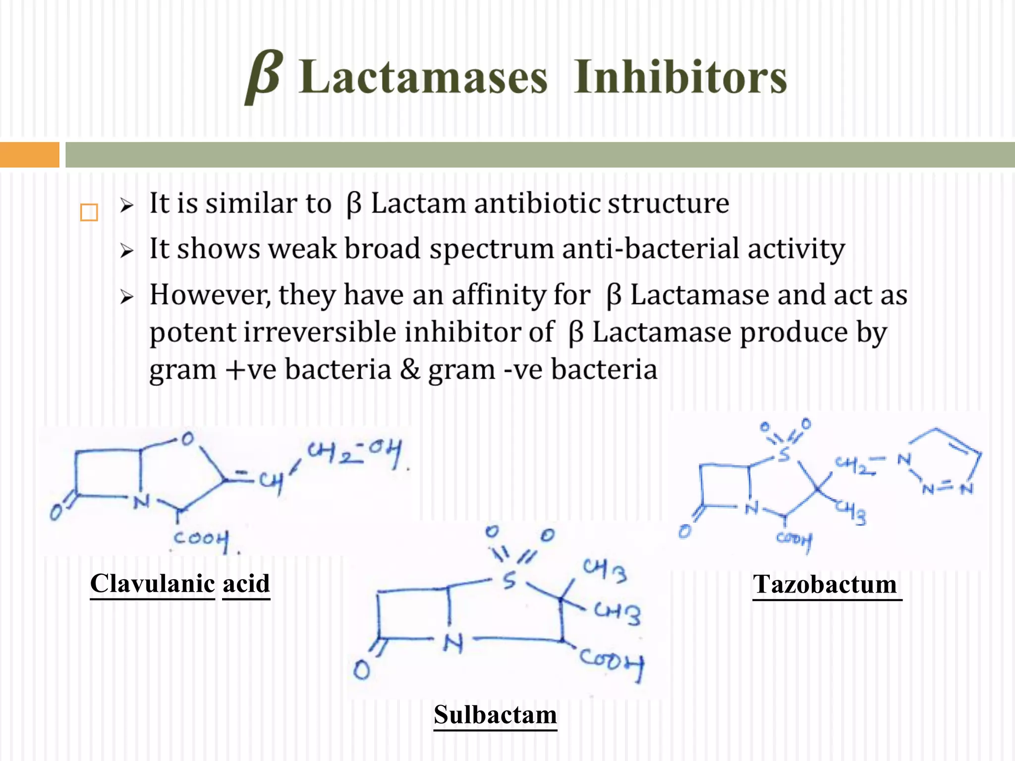 Beta lactamase inhibitors and Monobactam | PDF