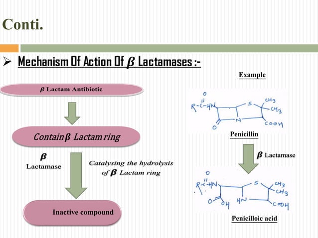 Beta lactamase inhibitors and Monobactam | PDF
