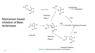 Beta lactamase inhibitors | PPTX