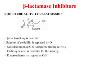 beta lactamase inhibitors of b.pharm 6th sem | PPT