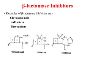 beta lactamase inhibitors of b.pharm 6th sem | PPT