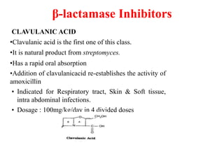 beta lactamase inhibitors of b.pharm 6th sem | PPT
