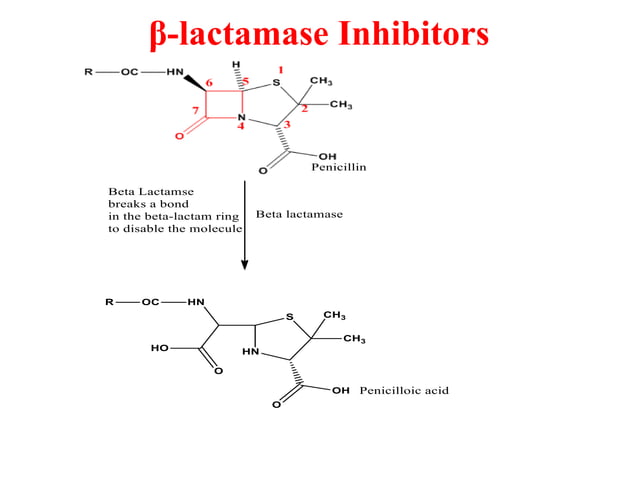 beta lactamase inhibitors of b.pharm 6th sem | PPT