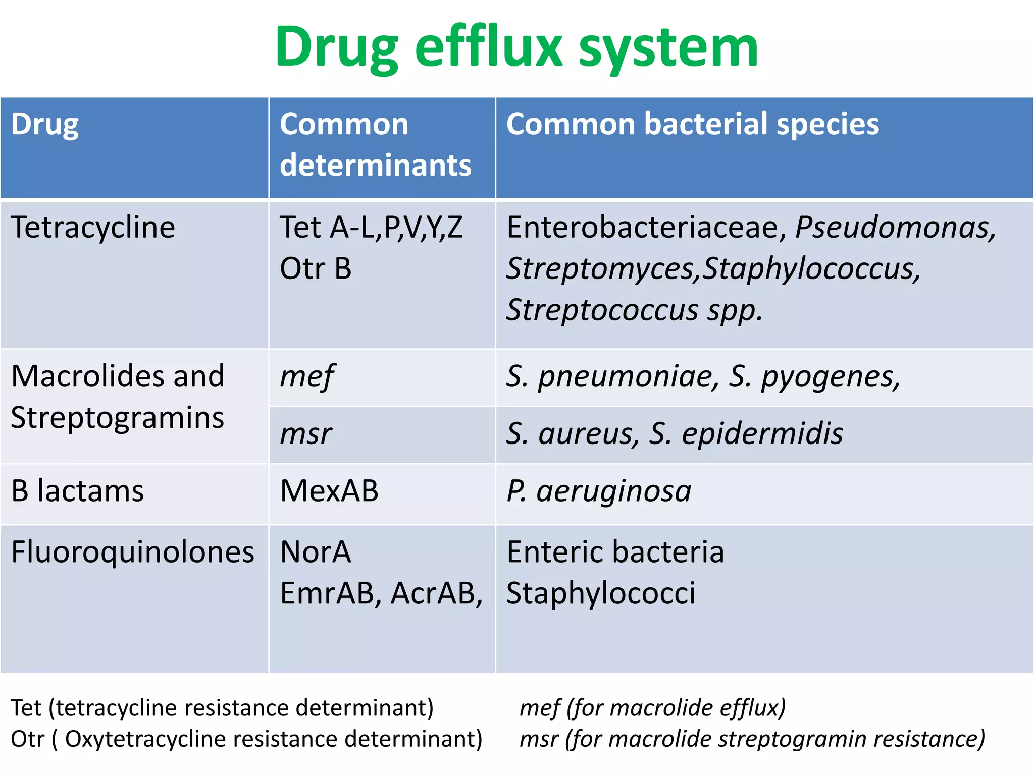 Beta lactamases.pptx