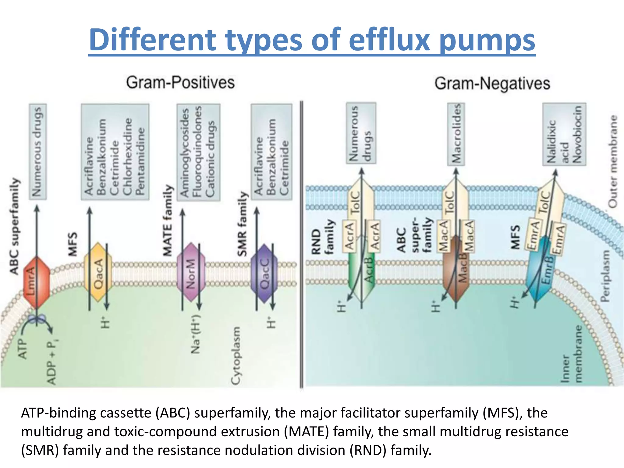 Beta lactamases.pptx