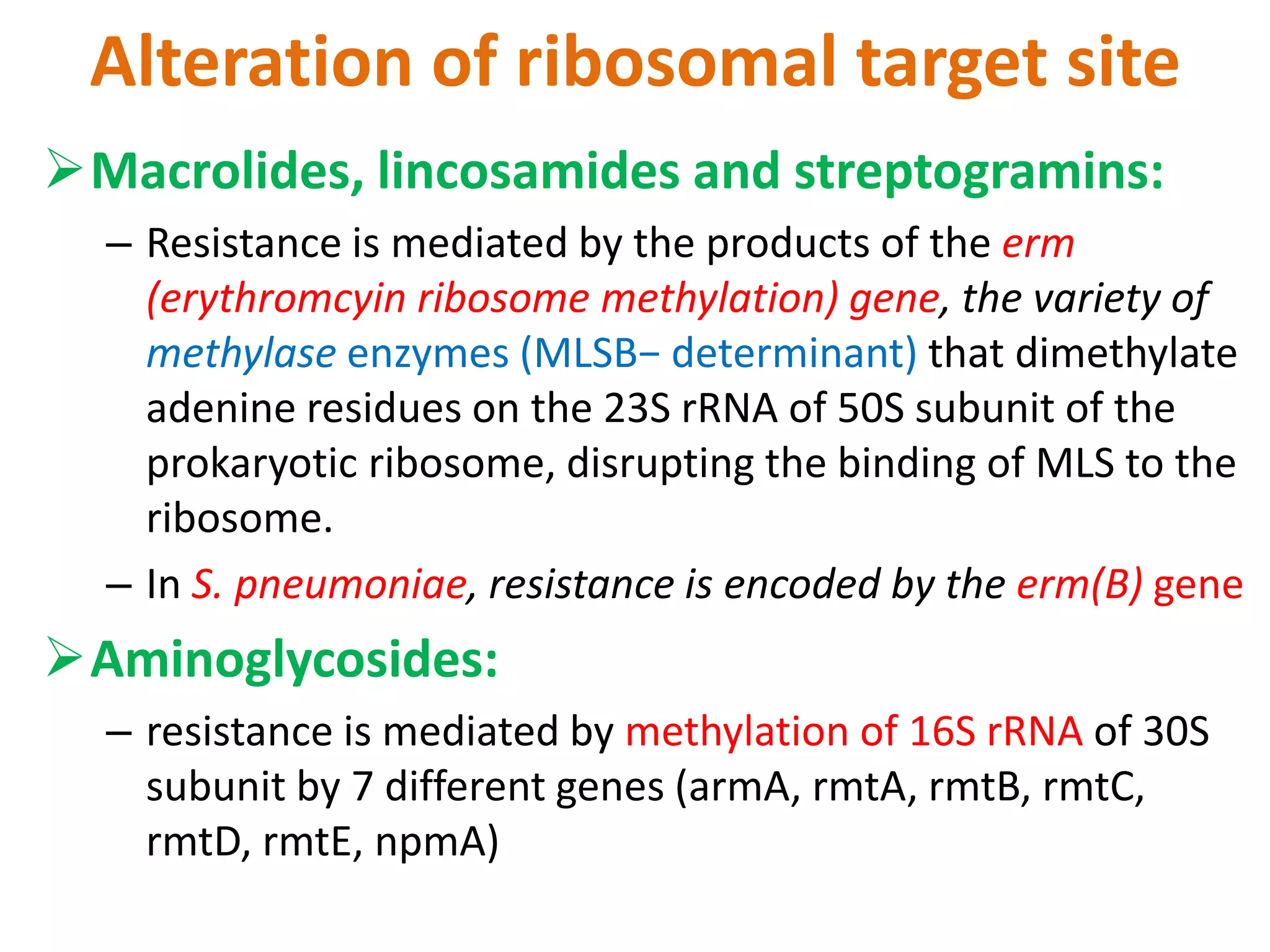 Beta lactamases.pptx