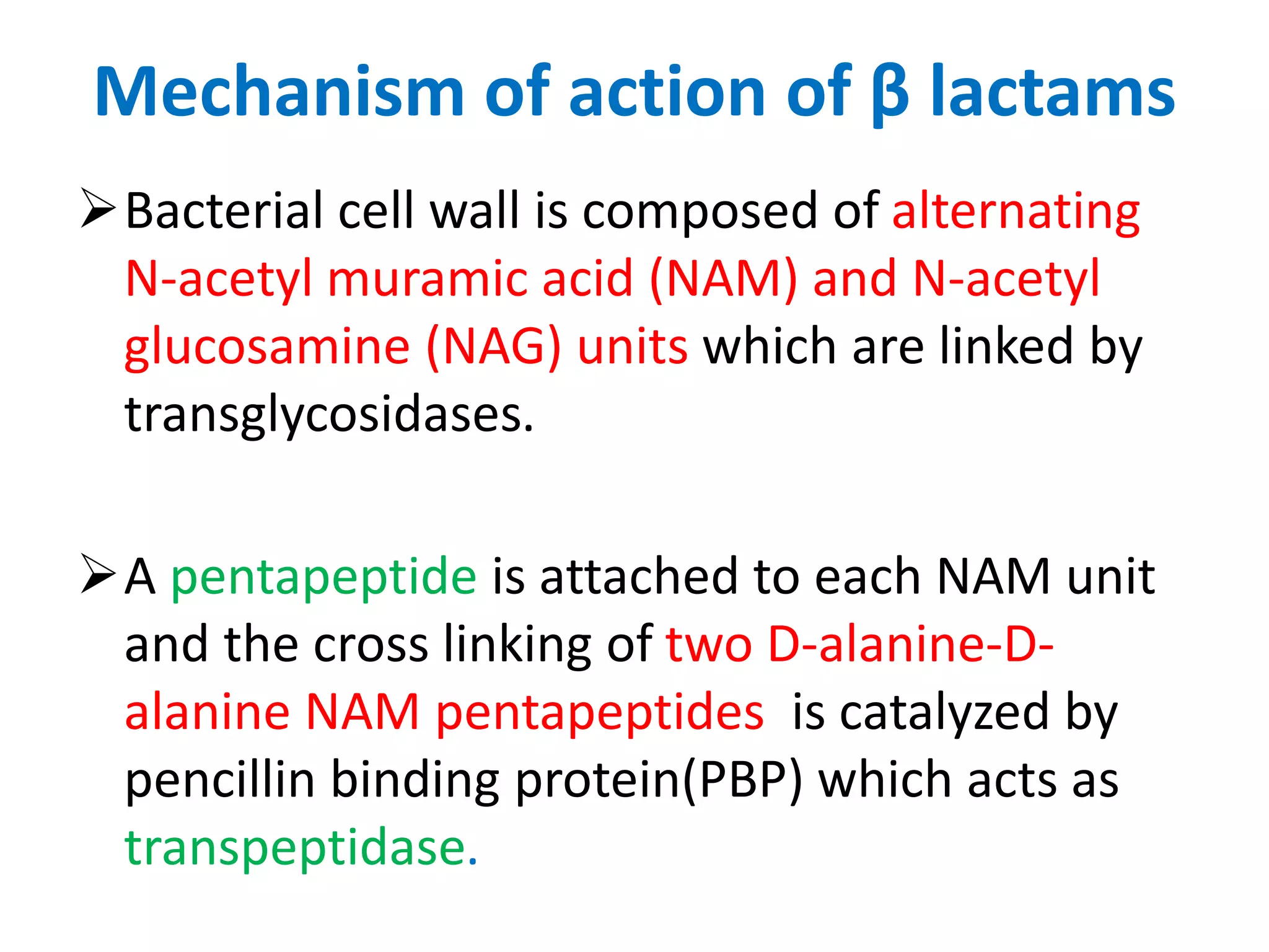 Beta lactamases.pptx