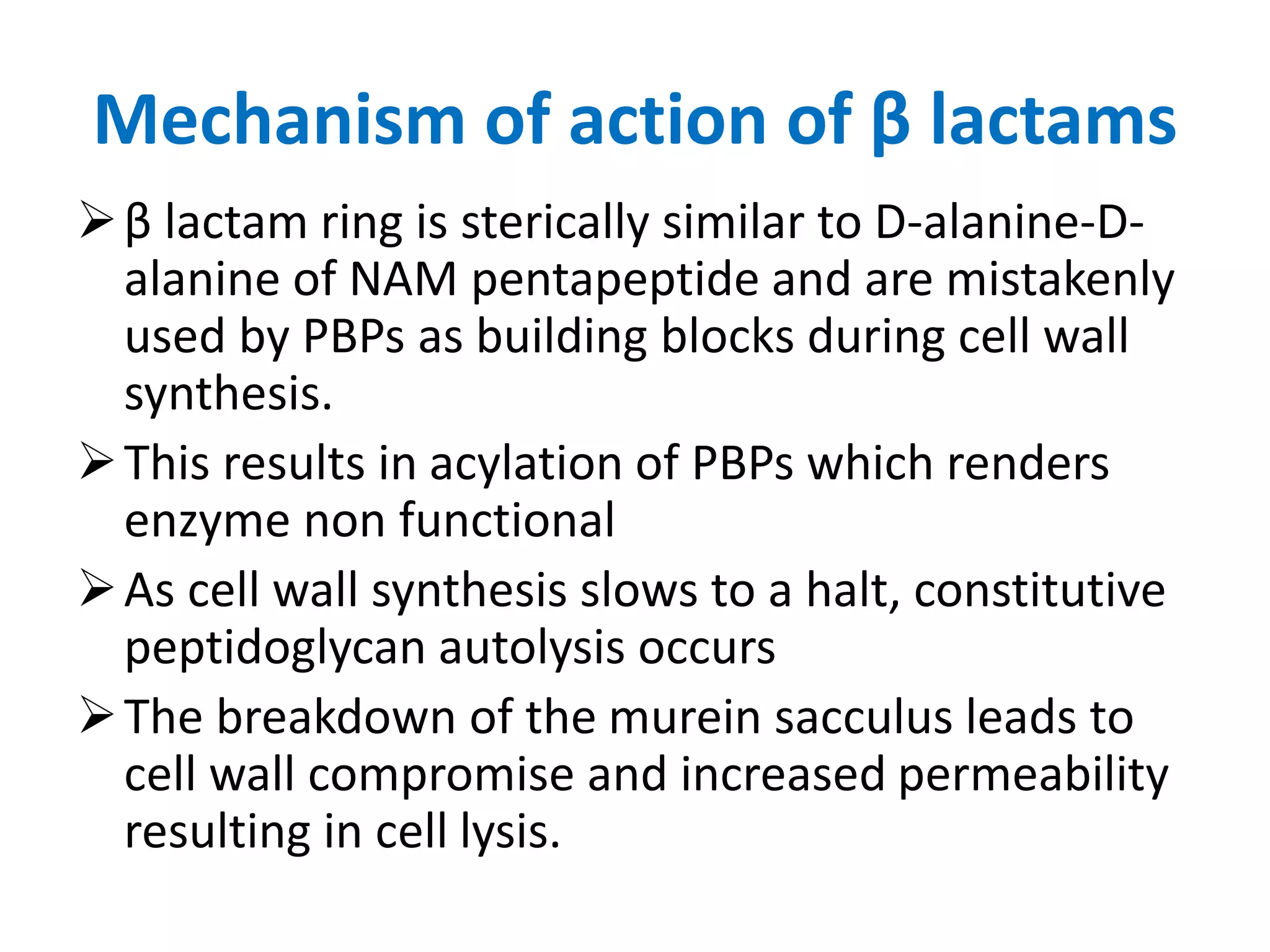 Beta lactamases.pptx