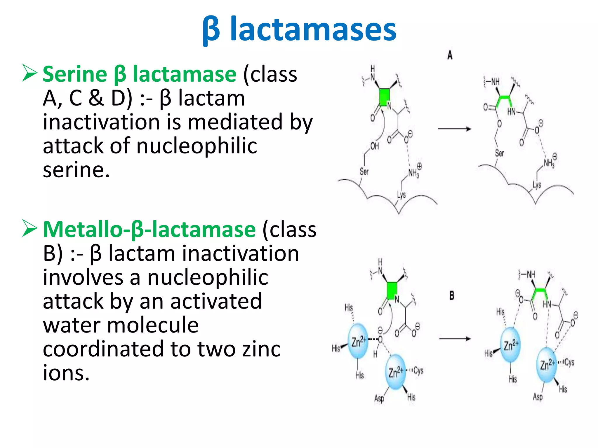 Beta lactamases.pptx