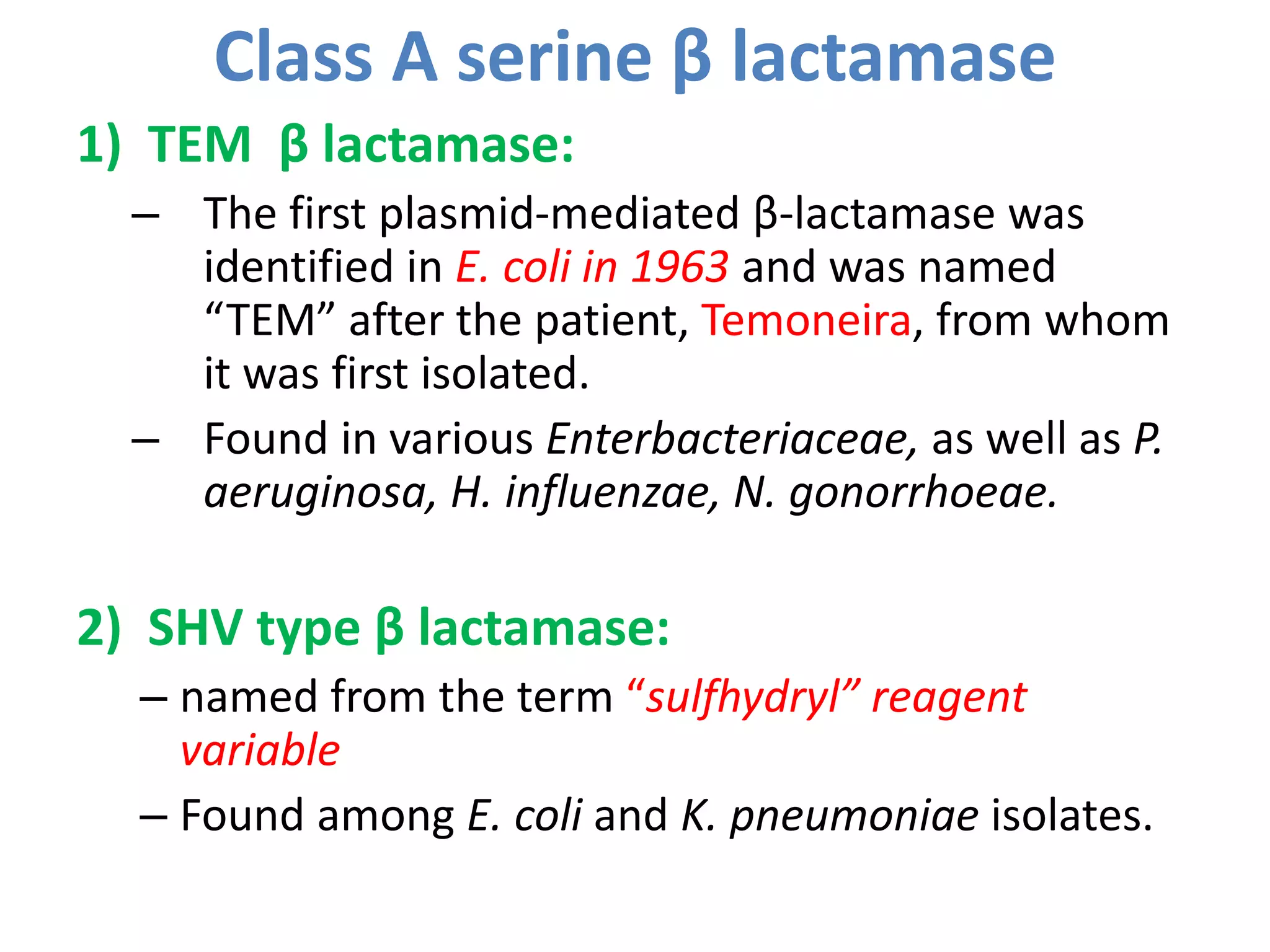 Beta lactamases.pptx
