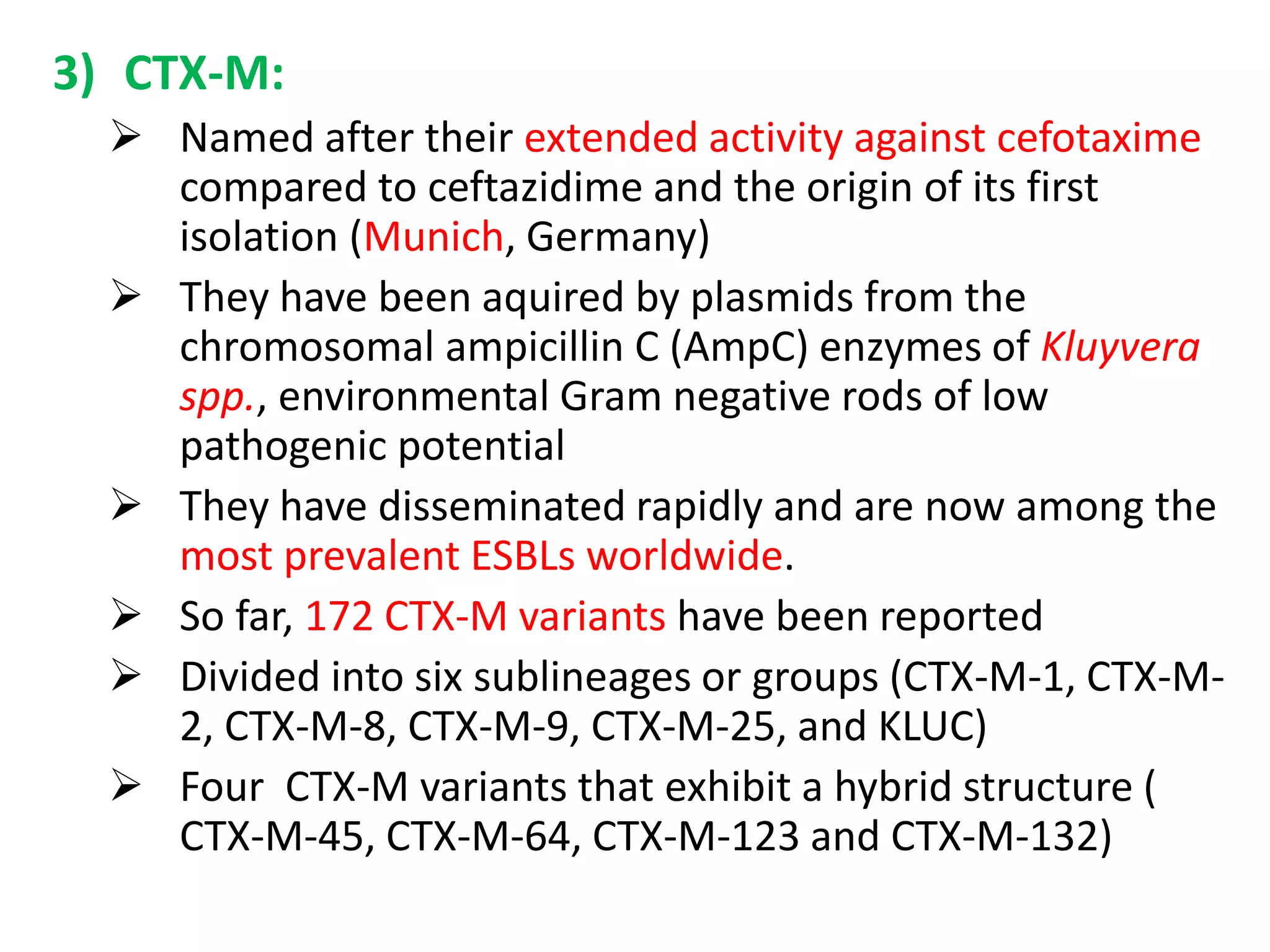 Beta lactamases.pptx