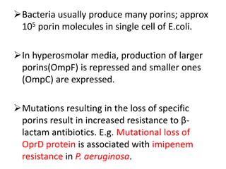 Beta lactamases.pptx