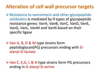 Beta lactamases.pptx