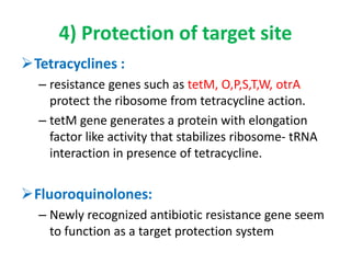 Beta lactamases.pptx