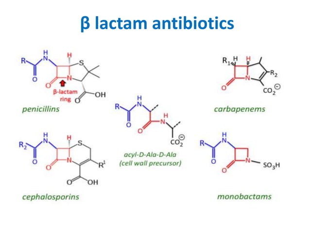 Beta lactamases.pptx