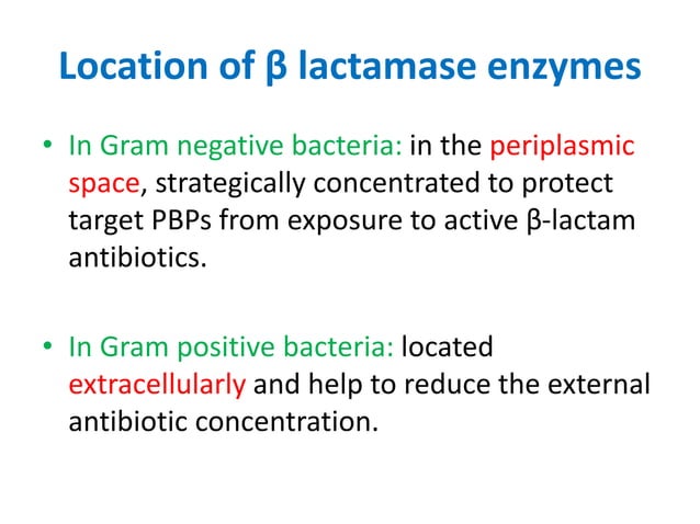 Beta lactamases.pptx