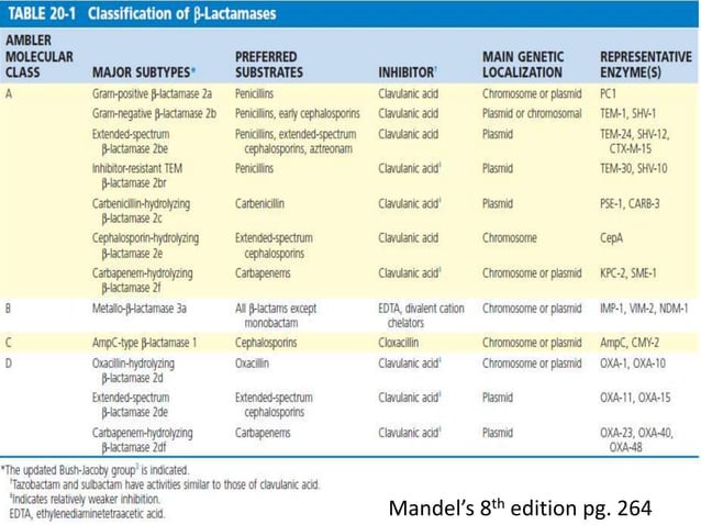 Beta lactamases.pptx