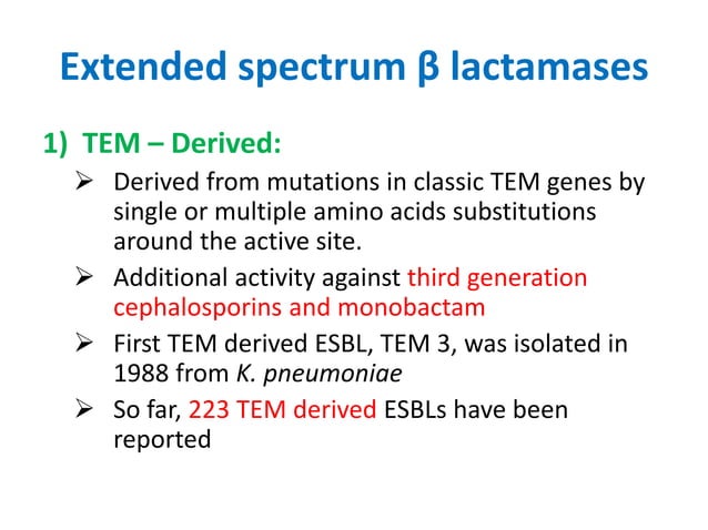 Beta lactamases.pptx