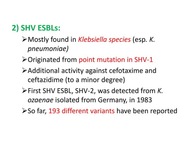 Beta lactamases.pptx