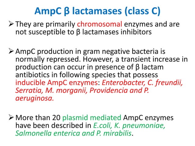 Beta lactamases.pptx