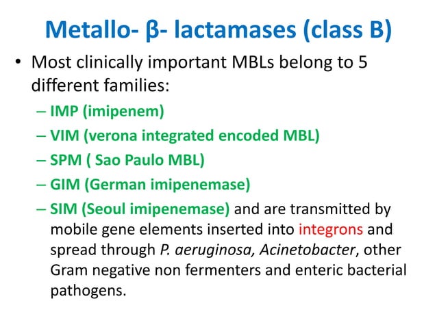 Beta lactamases.pptx