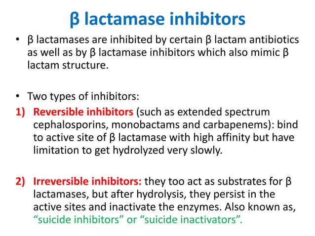 Beta lactamases.pptx