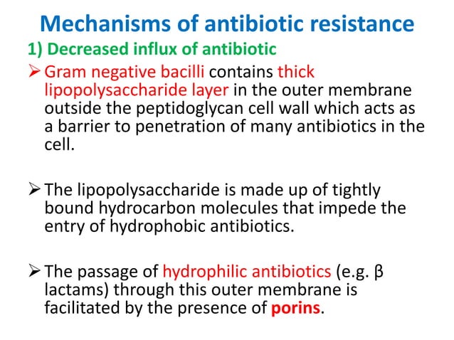 Beta lactamases.pptx