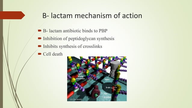Beta lactamases.pptx for educational purposes | PPT
