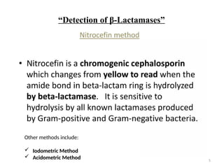 Introduction to Beta lactamases and Monobactams | PPTX
