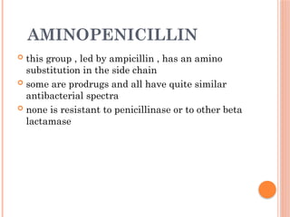 beta lactam drugs ppt pharmacology drugs | PPTX