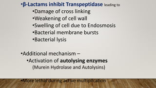 Beta lactam inhibitors (1) (1).pptx
