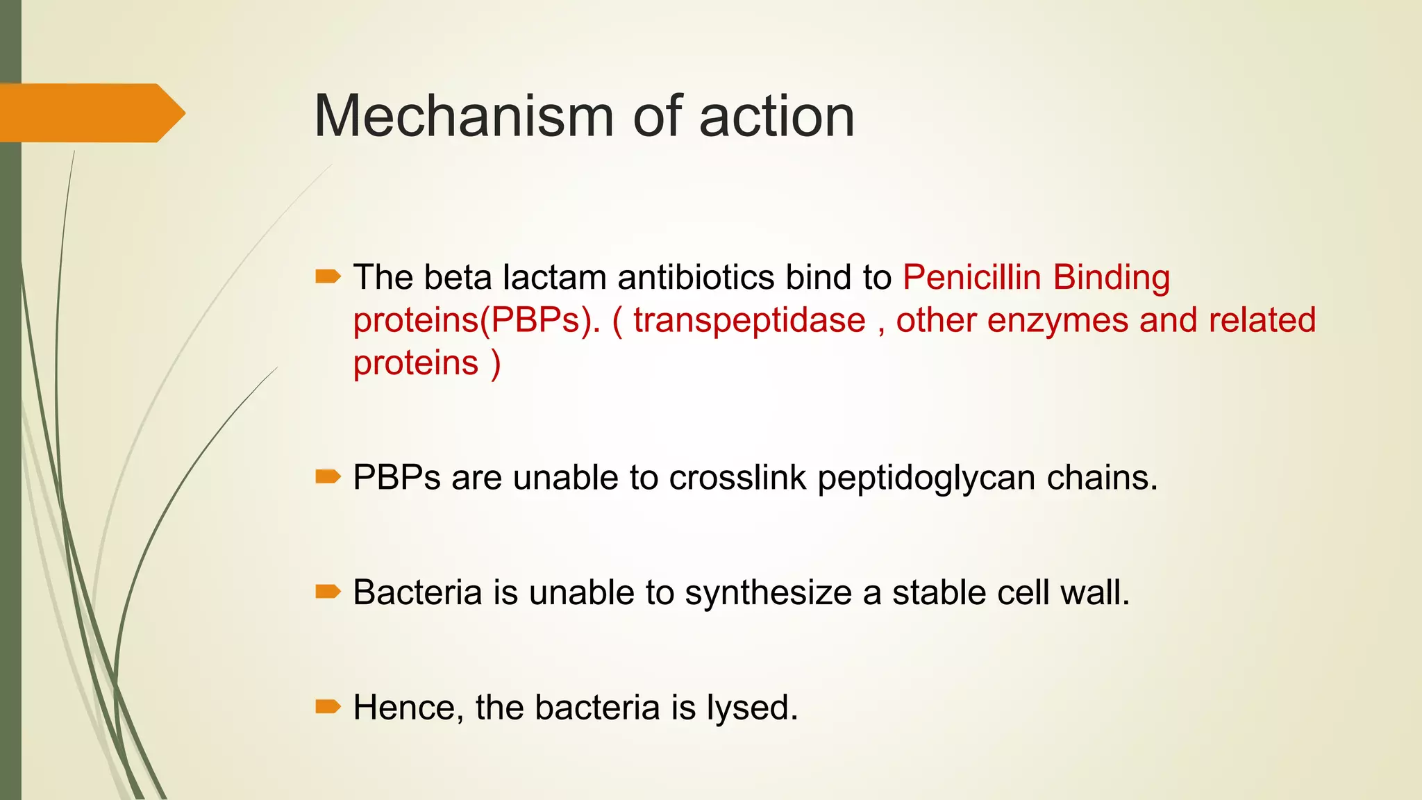Beta lactam nursing AHS.pptx